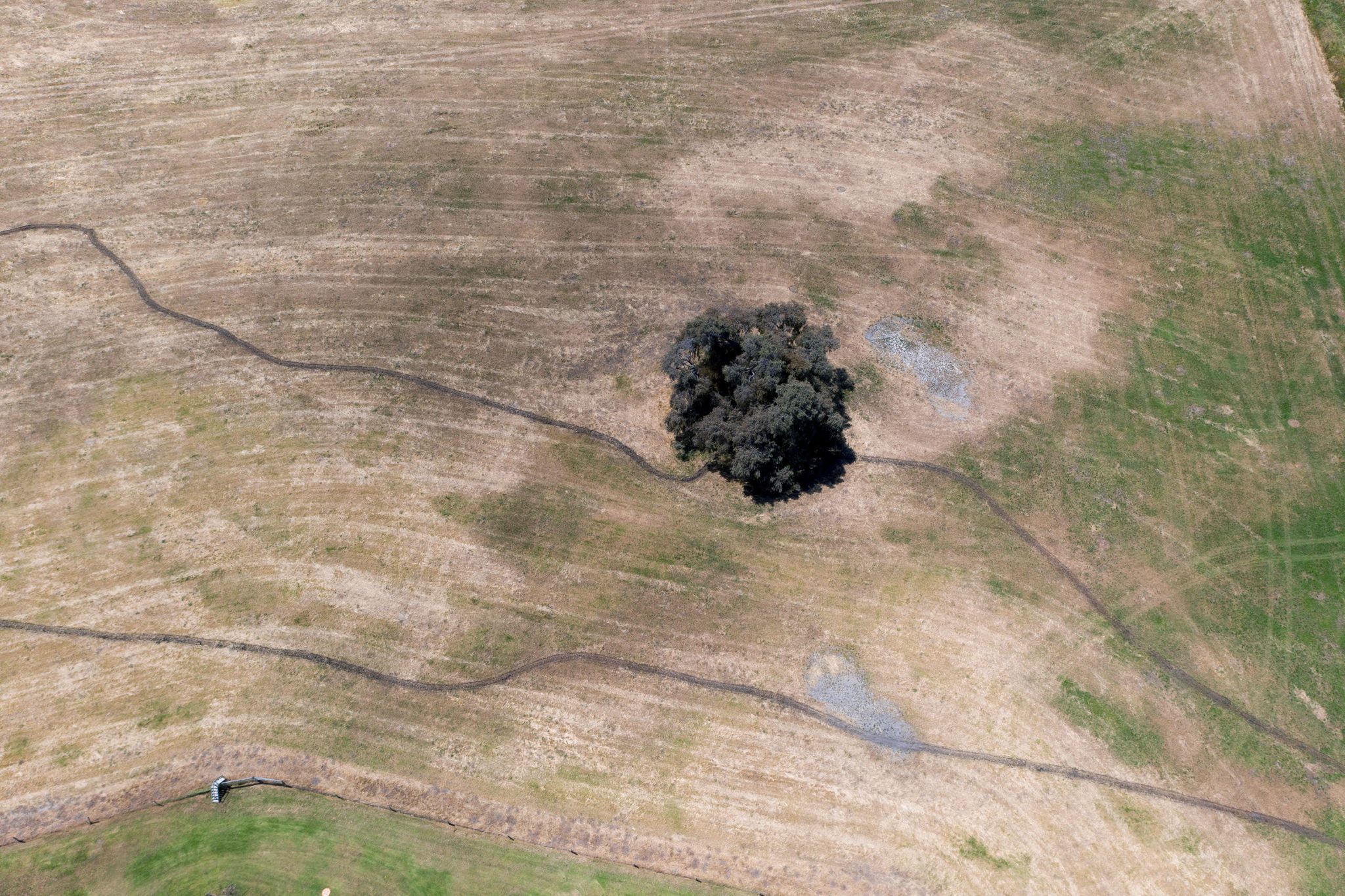 Greek artist Danae Stratou unveils art at Margaret River – The The ...