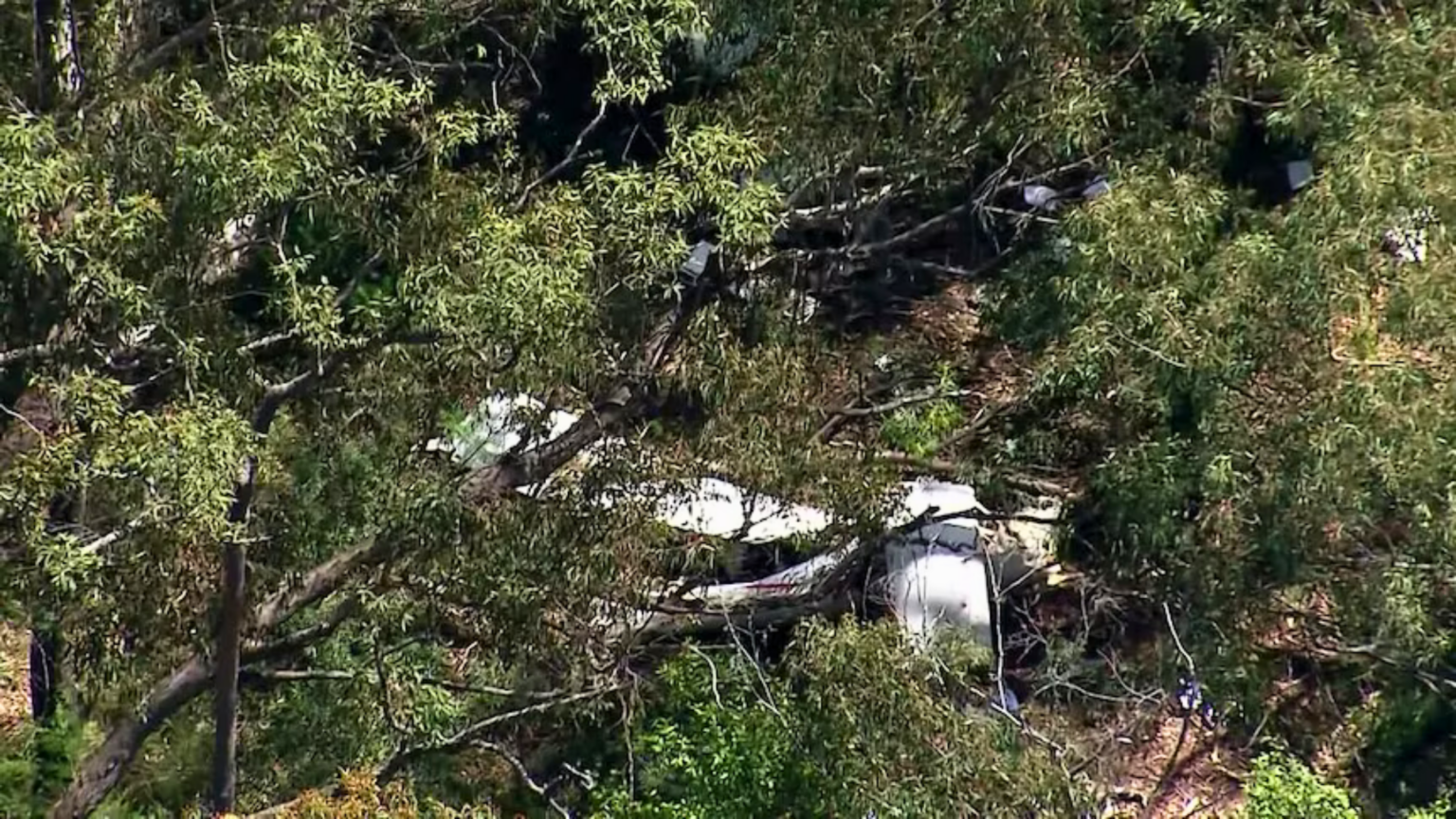 Jake Anastas named as third pilot killed in mid-air crash – The Greek ...