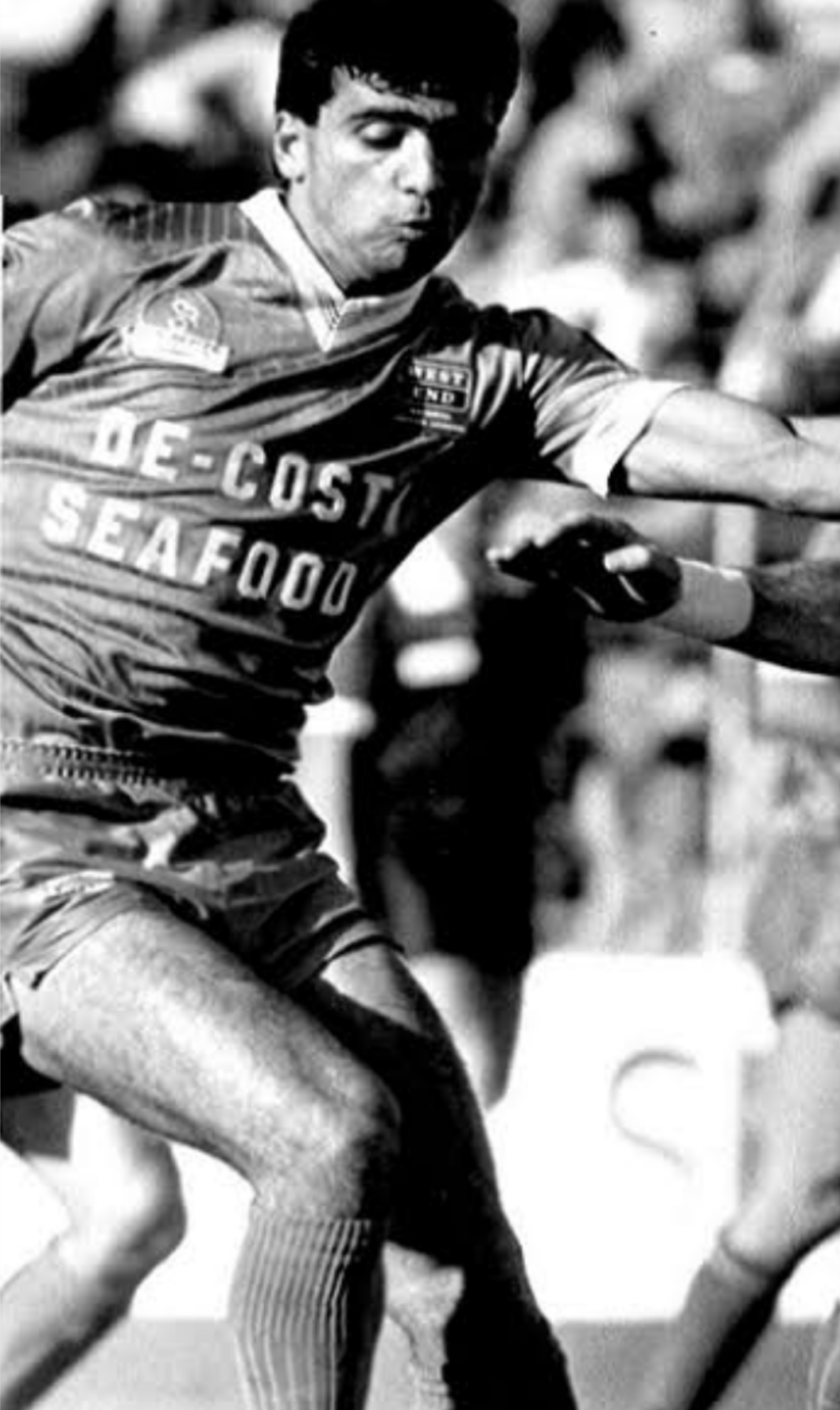 Sydney Olympic legends reflect ahead of Greek Herald Cup – The Greek Herald