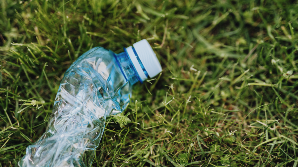 Council slammed over alleged bottle removal – The Greek Herald